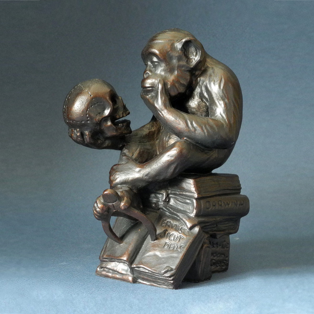 darwin ape statue